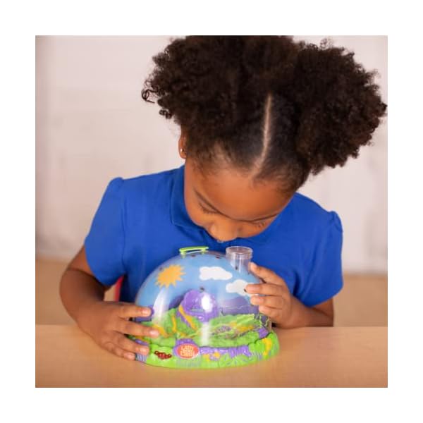 Insect Lore Ladybug Land | Ladybug Growing Kit Habitat | Redeem Voucher ...