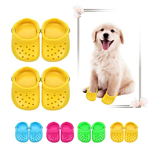 Dog Crocs para perros grandes: los 15 mejores productos comparados ...