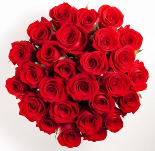 Amazon.com : GlobalRose 200 Fresh Cut Red Roses for Valentine´s Day ...