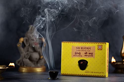 Sri Rudra Loban Cups Combo Pack (Sambrani, Cow Dung, Daivika (3 * 12 ...