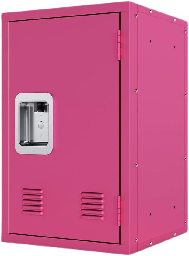 Amazon.com: 24" H Locker Storage Cabinet with 1 Doors, Lockable Storage ...