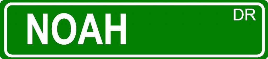 Amazon.com: Green 4"x18" NOAH name aluminum novelty street sign great ...
