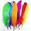 100Pcs Black Feathers for Crafts 4-6 inch Long,10-15cm Beautiful Bulk ...