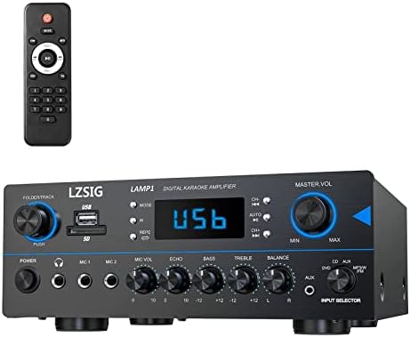 LZSIG Peak Power 110Wx2 Channel Stereo Amplifier 5.0 Home Audio ...