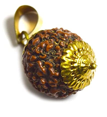 Venus Gems Gallery A1 Ek Mukhi Rudraksha Gol Dana Nepal Original ...