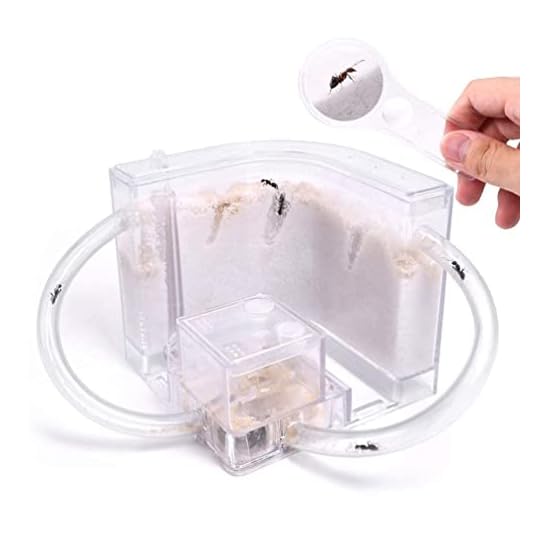 NAVADEAL Gel Connecting Ant Farm Castle with Tubes and Sand Connecting ...