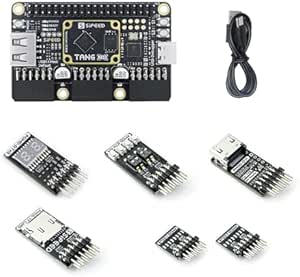 Amazon.com: youyeetoo Sipeed Tang Primer 25K Dock FPGA Development Board MCU, RISCV ...