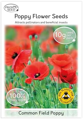 Red Field Poppy Seeds - 2000 Native UK Wild Flower Seeds for Attracting ...