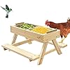 Amazon.com : COLRASN Chicken Picnic Table,Chicken Feeder No Waste ...