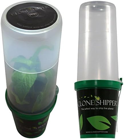 Amazon.com : Clone Shipper W/ LED Light - Plant Shipping Container ...