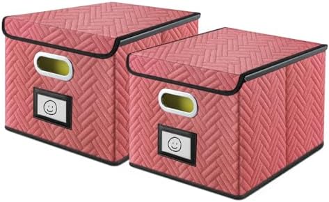 Amazon.com: NEWFOM File Storage Box, Hanging File Organizer Office ...