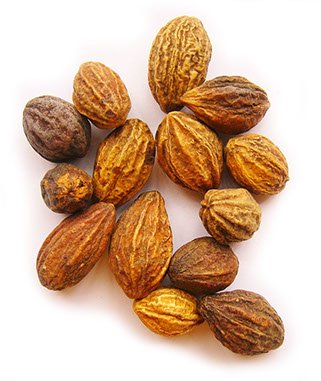 HARITAKI (CHEBULIC MYROBALAN) 100 Gm - Dry Haritaki (Kadukka) Ayurvedic ...