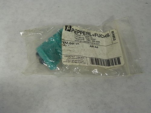 Pepperl+Fuchs VAZ-G6F-V1 Interface Splitter Box: Amazon.com: Tools ...