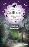 【発売日：2027年04月01日】・製造元:beTHRILLED