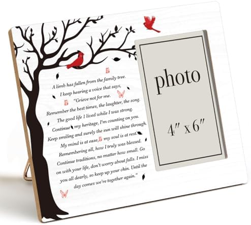 Amazon.com - QZJ Memorial Picture Frame Gifts, Sympathy Gifts for Loss ...
