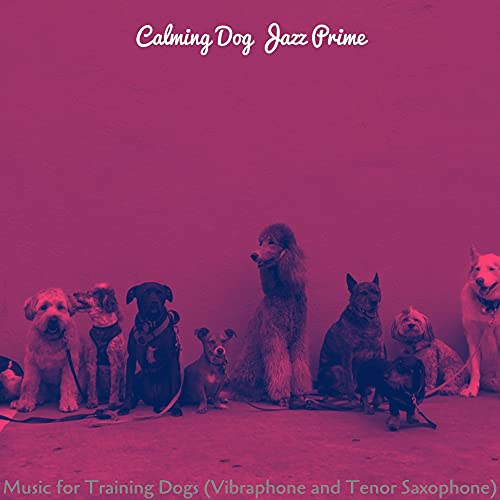Music for Training Dogs (Vibraphone and Tenor Saxophone) de Calming Dog ...