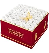 Amazon.com: Mosstory Preserved Roses in a Box 49-Piece Forever Flowers ...