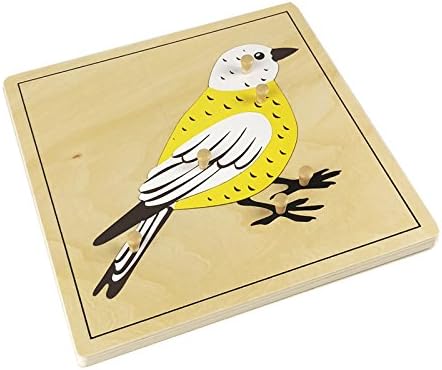 Amazon.com: Elite Montessori Bird Puzzle : Toys & Games