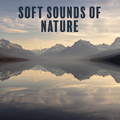 Play Soft Sounds of Nature – Calming Sounds, Nature Relaxation, New Age ...