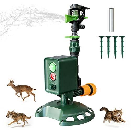 Best Motion Activated Sprinklers for Dogs and Other Yard Pests ...
