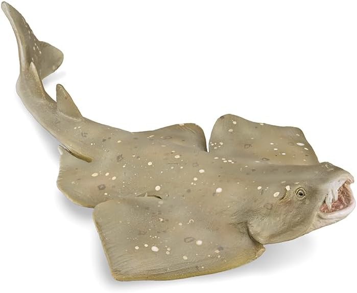 CollectA Angel Shark Realistic Shark Toy, Sea Animal Toys For Kids ...