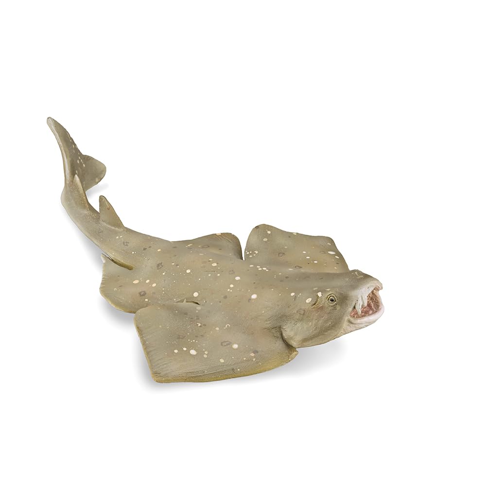 CollectA Angel Shark - Realistic Shark Toy, Sea Animal Toys For Kids ...