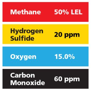 Buy co Multi- 459: 50% LEL Methane, 15% Oxygen, 60 ppm Carbon Monoxide ...