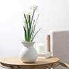 Amazon.com: Sullivans Paperwhite Flower with Bulb Stem 20", White ...