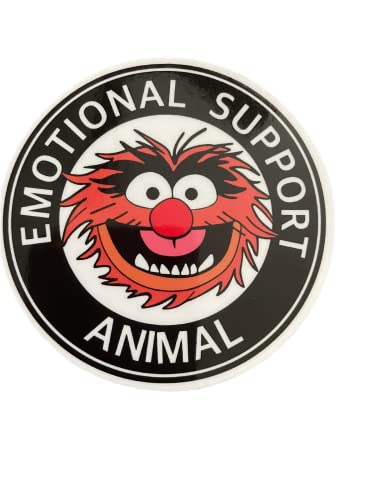 10 Must-Have Products for Your Registered Emotional Support Animal: A ...