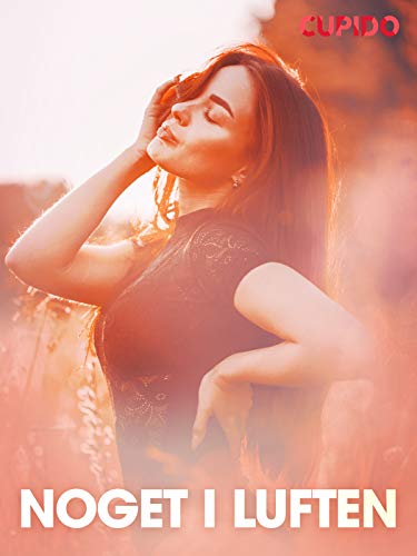 Noget i luften - erotiske noveller (Danish Edition) eBook: Cupido ...