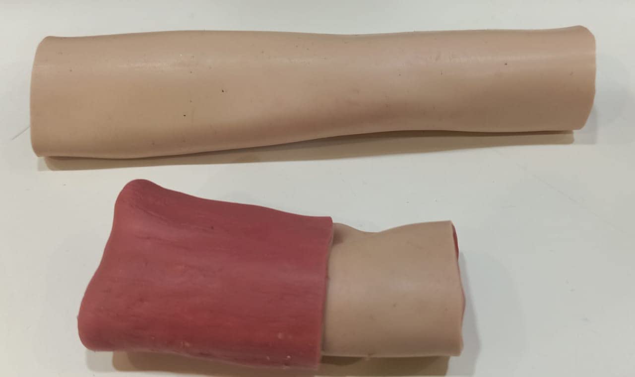 Buy Kay Kay Industries Intestinal Anastomosis Model Online at ...
