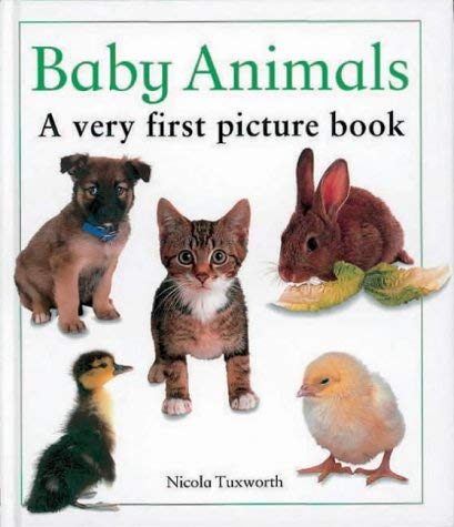 Baby Animals: A Very First Picture Book: Tuxworth, Nicola ...