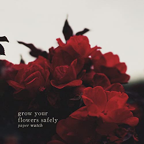 Amazon.co.jp: grow your flowers safely : Paper Watch: Digital Music