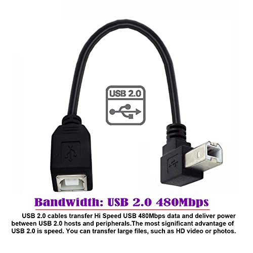 cablecc Type B Male to Female USB 2.0 Extension Cable 90 Degree Down ...