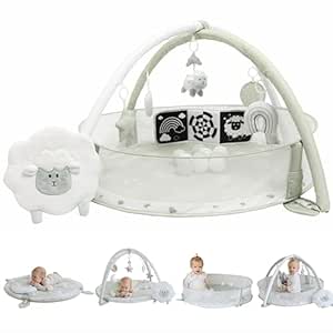 Amazon.com : Aila+Aiden 6-in-1 XL Play Mat & Play Gym, Baby Gym, Baby ...