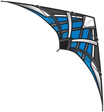 Amazon.com: WindNSun NK93 72451 Red Nylon Dual Control Kite : Toys & Games