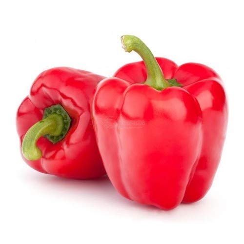 Capsicum Red Seeds Hybrids F1 Vegetable Seeds for Planting for All ...