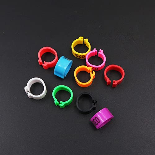 ANCLLO 100 Pcs 10mm Consecutive Numbers Identification Ring Bird Leg ...