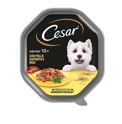 Cesar Chien – Les 15 meilleurs produits dans la comparaison - Guide ...