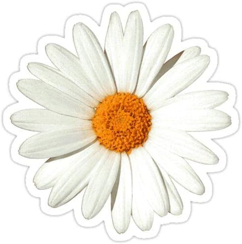 Amazon.com - (Pack of 2) White Daisy Flower Sticker Decal Car Laptop ...