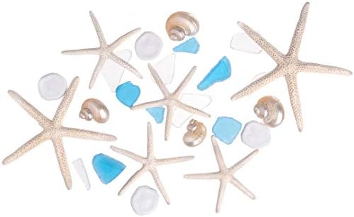 Amazon.com: Tumbler Home White Sea Shell Mix with Aqua Sea Glass | Set ...