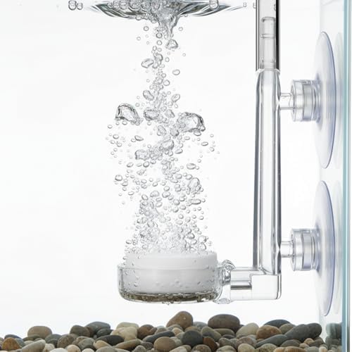 Amazon.com : Qulkws 1 Inch Aquarium Air Stone Disc Small Fish Tank Air ...