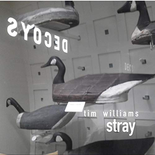 Play Stray by Tim Williams on Amazon Music