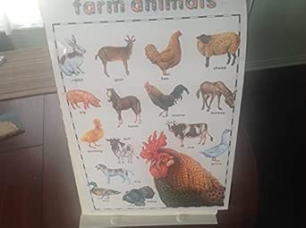 Amazon.com: Flip-And-Learn Charts: 9782764106600: Tormont/Brimar ...