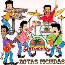 Sentimiento - Botas Picudas - Amazon.com Music