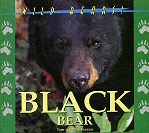 Wild Bears - Black Bear: Tom & Pat Leeson: 9781567113433: Amazon.com: Books