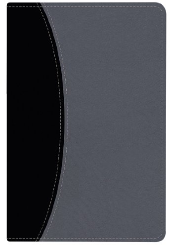 HCSB Hand Size Giant Print Reference Bible, Black/Gray Simulated ...