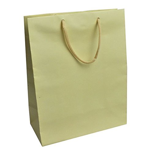 Amazon.com: Large Ivory Gift Bag - Pack of 100 : Health & Household