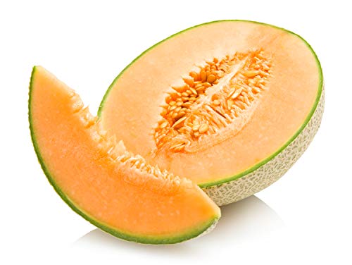 Best Cantaloupe Seeds for Planting in Your Garden – The Yogic Garden