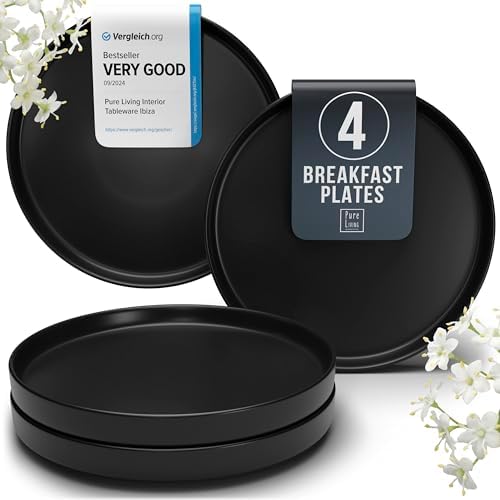 Amazon.com | CLWXHS Black Dinner Plates Set of 4, Kitchen Plates,Round ...